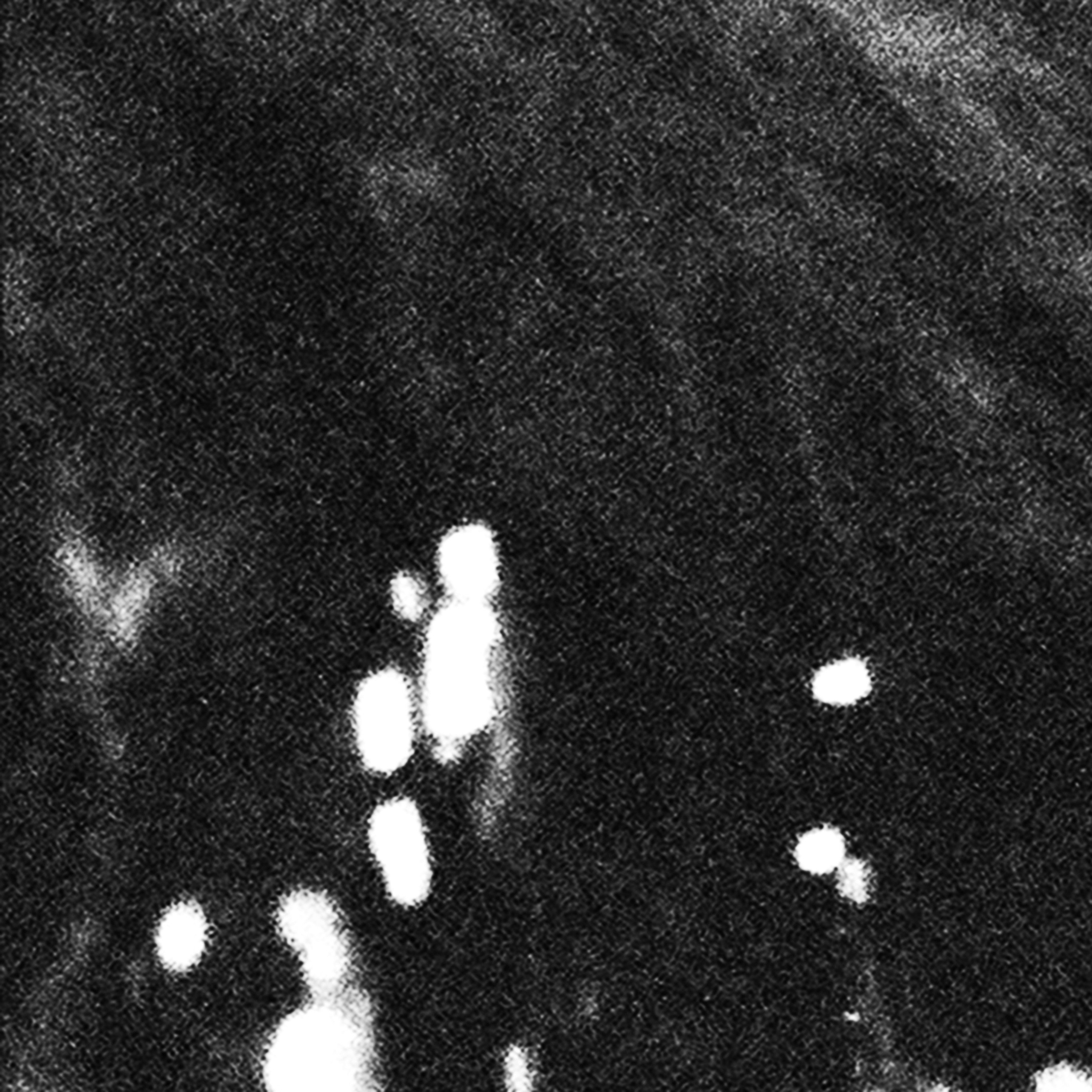 Tan Cologne - Cool Star